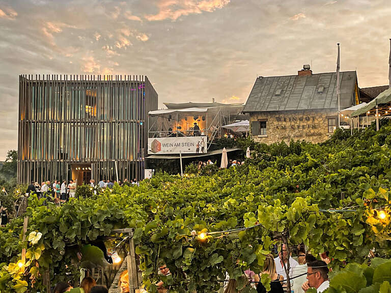 Emily trapp nude leak have seen this lady many times but