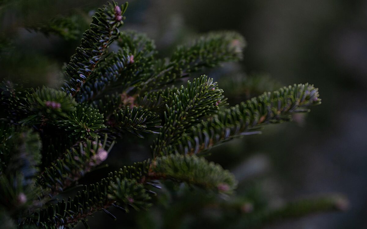 106,9 Radio Gong - Dein Heimvorteil live aus… | Radio Gong Würzburg